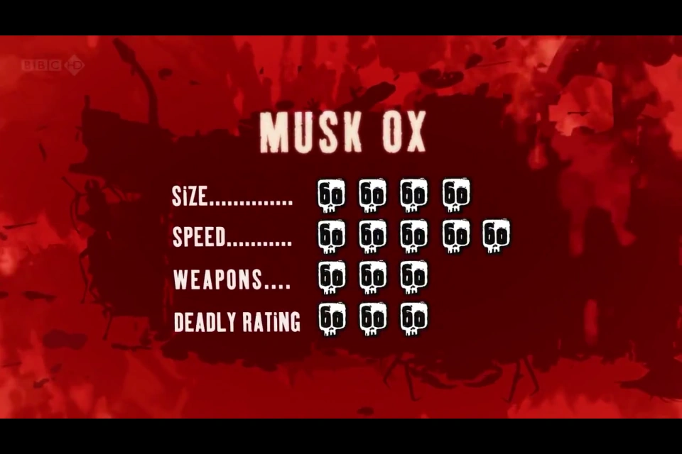 Musk Ox | Deadly 60 Wiki | Fandom