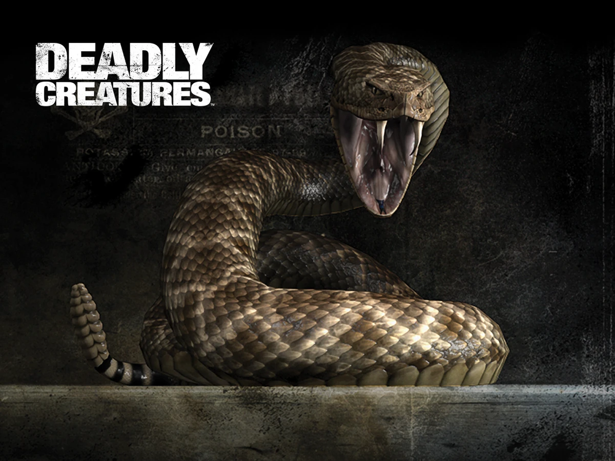 Rattlesnake | Deadly Creatures Wiki | Fandom