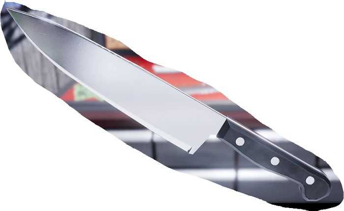 Kitchen Knife - Dead Matter Wiki