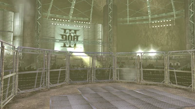 X Octagon | Dead or Alive Wiki | Fandom