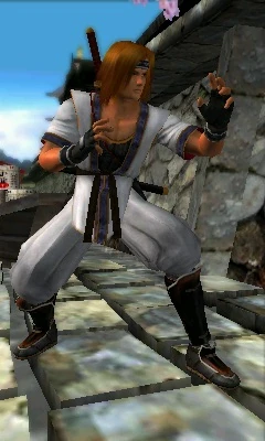 Hayate/Dead or Alive Dimensions costumes | Dead or Alive Wiki | Fandom