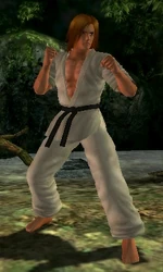 Ein/Dead or Alive Dimensions costumes | Dead or Alive Wiki | Fandom