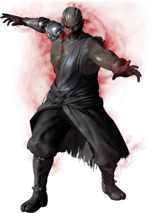 Raidou | Wiki DEAD OR ALIVE | Fandom