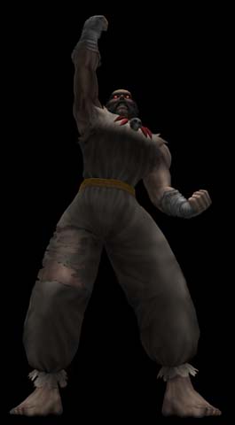 Raidou | Dead or Alive Wiki | Fandom