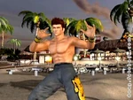 Jann Lee/Dead or Alive 3 costumes | Dead or Alive Wiki | Fandom