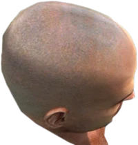 Shaved Head (Dead Rising 2) | Dead Rising Wiki | Fandom