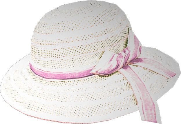 Ladies Hat | Dead Rising Wiki | Fandom