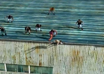 Armed Woman | Dead Rising Wiki | Fandom