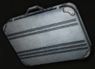 Briefcase (Dead Rising 3) | Dead Rising Wiki | Fandom