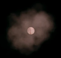 Spaceball Bat | Dead Rising Wiki | Fandom