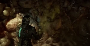 Заражение | Dead Space Wiki | Fandom