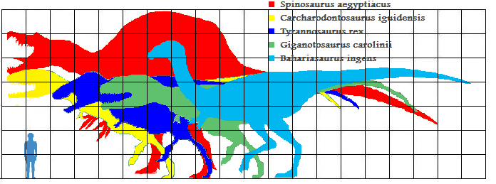 Bahariasaurus | Prehistoric Wiki | Fandom