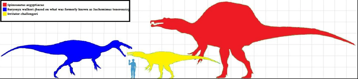 Spinosauridae | Prehistoric Wiki | Fandom