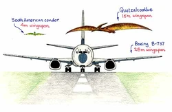 Quetzalcoatlus | Prehistoric Wiki | Fandom
