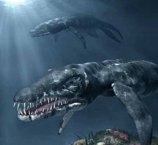 Liopleurodon Size Comparison