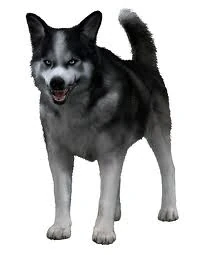 Shadow | Dead to Rights Wiki | Fandom