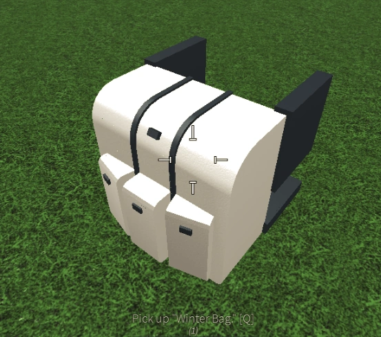 Winter Bag | Deadzone :: Remade Wiki | Fandom