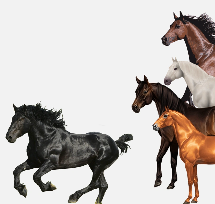 Old Town Road (WildSide Remix) | WildSide Wiki | Fandom