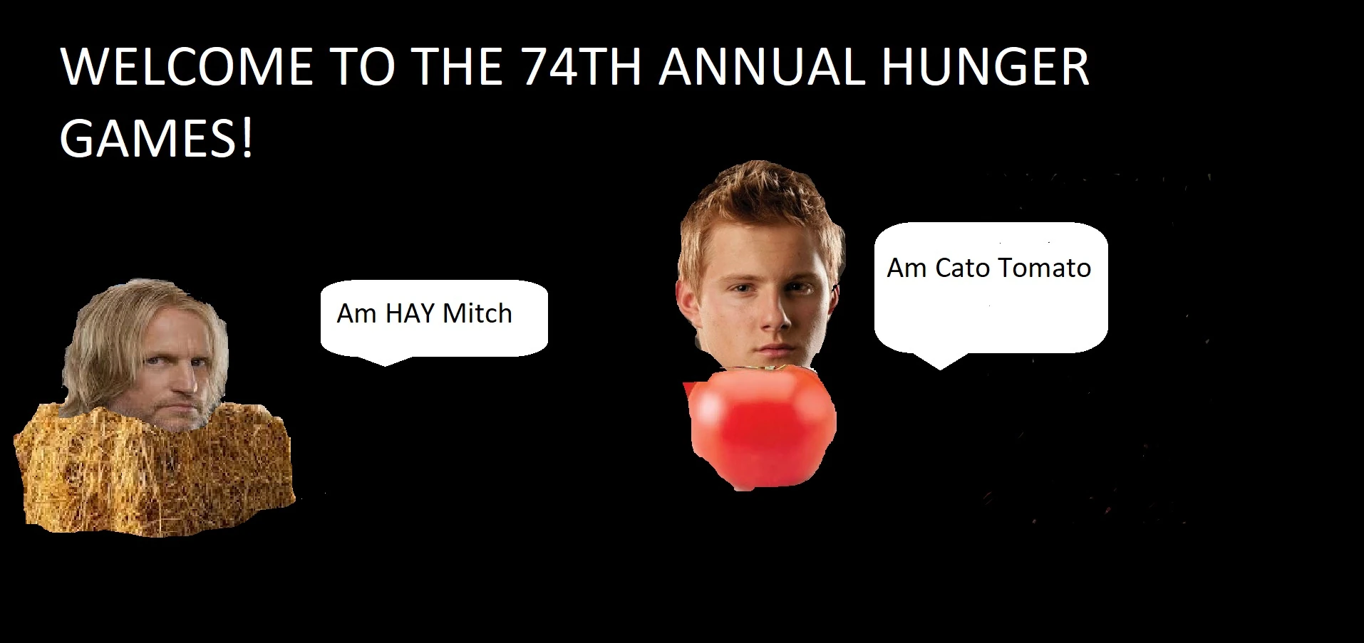Hunger Games Memes Cato