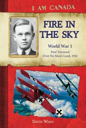 Fire in the Sky | Dear America Wiki | Fandom