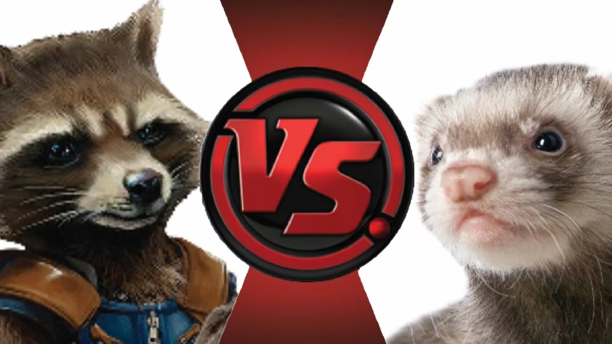 Rocket Raccoon VS Jets The Ferret | DEATH ARENA Wiki | Fandom