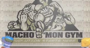 Machamp | DEATH BATTLE Wiki | Fandom