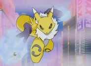 Renamon | DEATH BATTLE Wiki | Fandom
