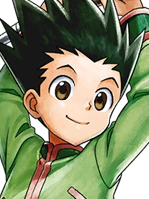 User blog:1mavstone/Combatant - Gon Freecss | DEATH BATTLE Wiki | Fandom