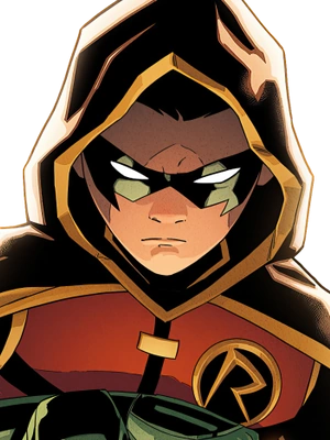 User blog:1mavstone/Combatant - Robin | DEATH BATTLE Wiki | Fandom