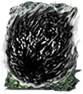 Chosen Undead | DEATH BATTLE Wiki | Fandom