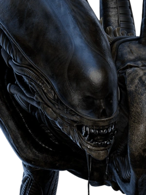 User blog:Ewefwein/The Xenomorph | DEATH BATTLE Wiki | Fandom