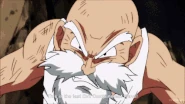 Master Roshi | DEATH BATTLE Wiki | Fandom