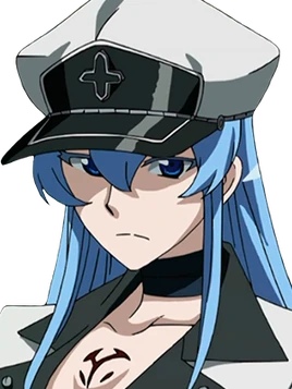 Esdeath | DEATH BATTLE Wiki | Fandom