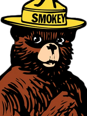 how to draw smokey bear