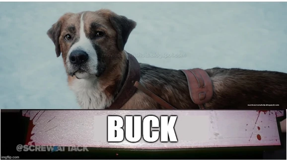 What Was The Cause Of Rivalry Between Spitz And Buck