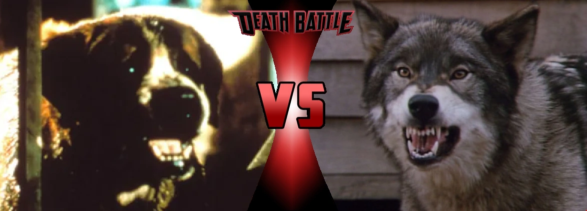 Cujo vs. White Fang | Death Battle Fanon Wiki | Fandom