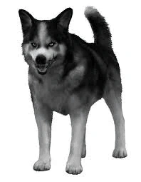 Shadow (Dead to Rights) | Death Battle Fanon Wiki | Fandom