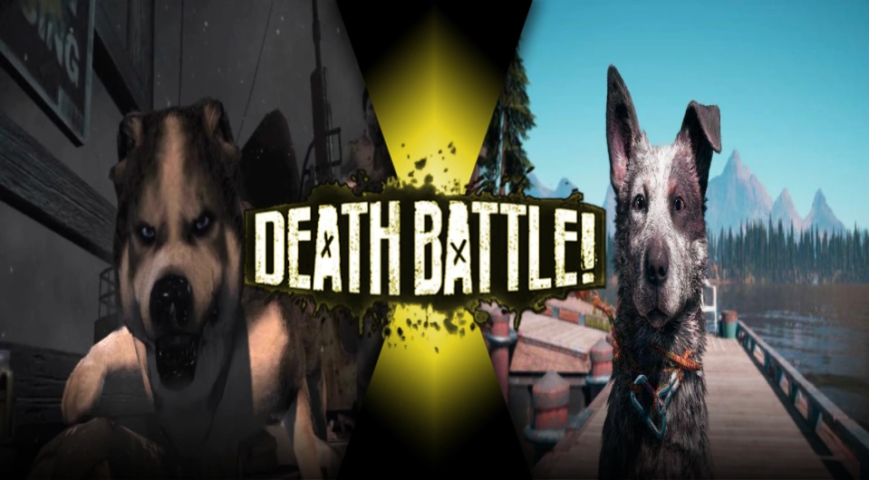 Boomer vs Shadow | Death Battle Fanon Wiki | Fandom