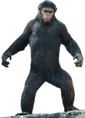 Caesar (Planet of the Apes) | Death Battle Fanon Wiki | Fandom