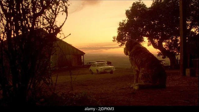 Cujo vs Winnie the Pooh | Death Battle Fanon Wiki | Fandom