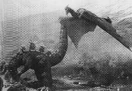 Rodan | Death Battle Fanon Wiki | Fandom