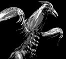 Rodan | Death Battle Fanon Wiki | Fandom