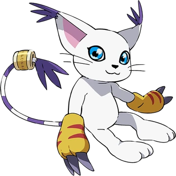 Gatomon Digivolve Chart