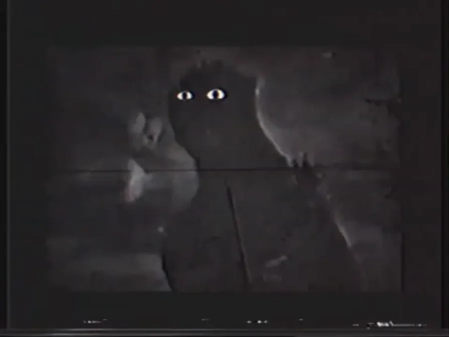 Godzilla (Suitmation Trials) | Death Battle Fanon Wiki | Fandom