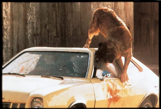 Cujo vs Winnie the Pooh | Death Battle Fanon Wiki | Fandom