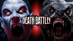 Werewolves And Vampires Fighting