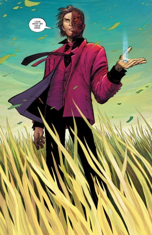 Two-Face | Death Battle Fanon Wiki | Fandom