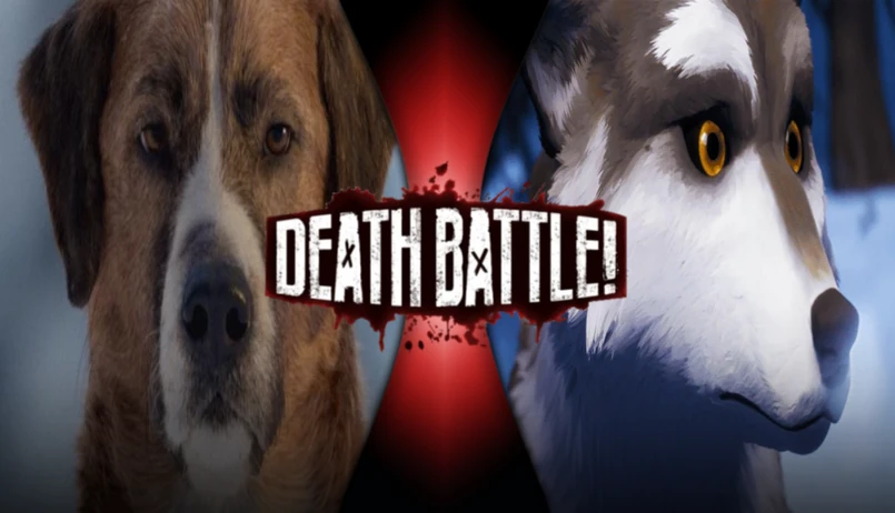 wolf fighting pitbull