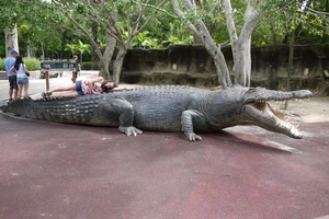 Giant alligator | Deathlands Wiki | Fandom