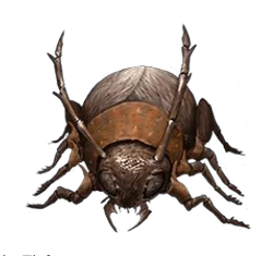 Mutant beetle | Deathlands Wiki | Fandom